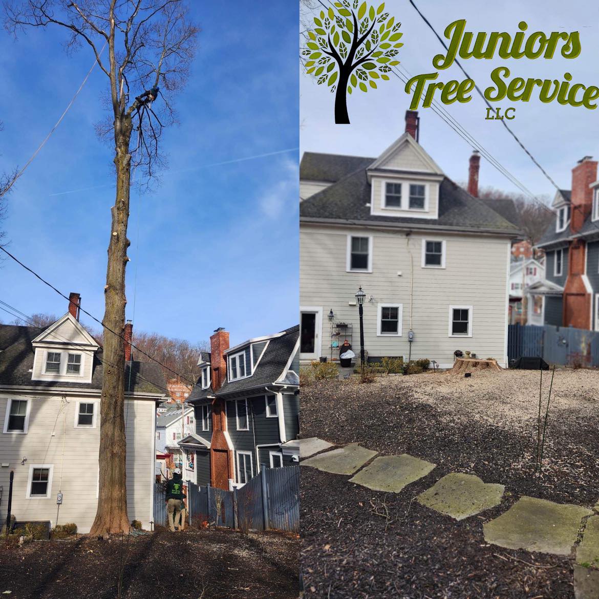 Junior Tree Service LLC