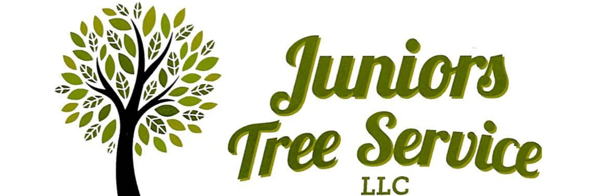 Junior Tree Service LLC – Profesional Service, Expert Solutions